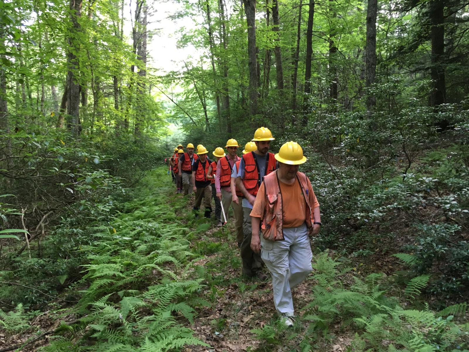 Forest Crew | The Ashton Lab